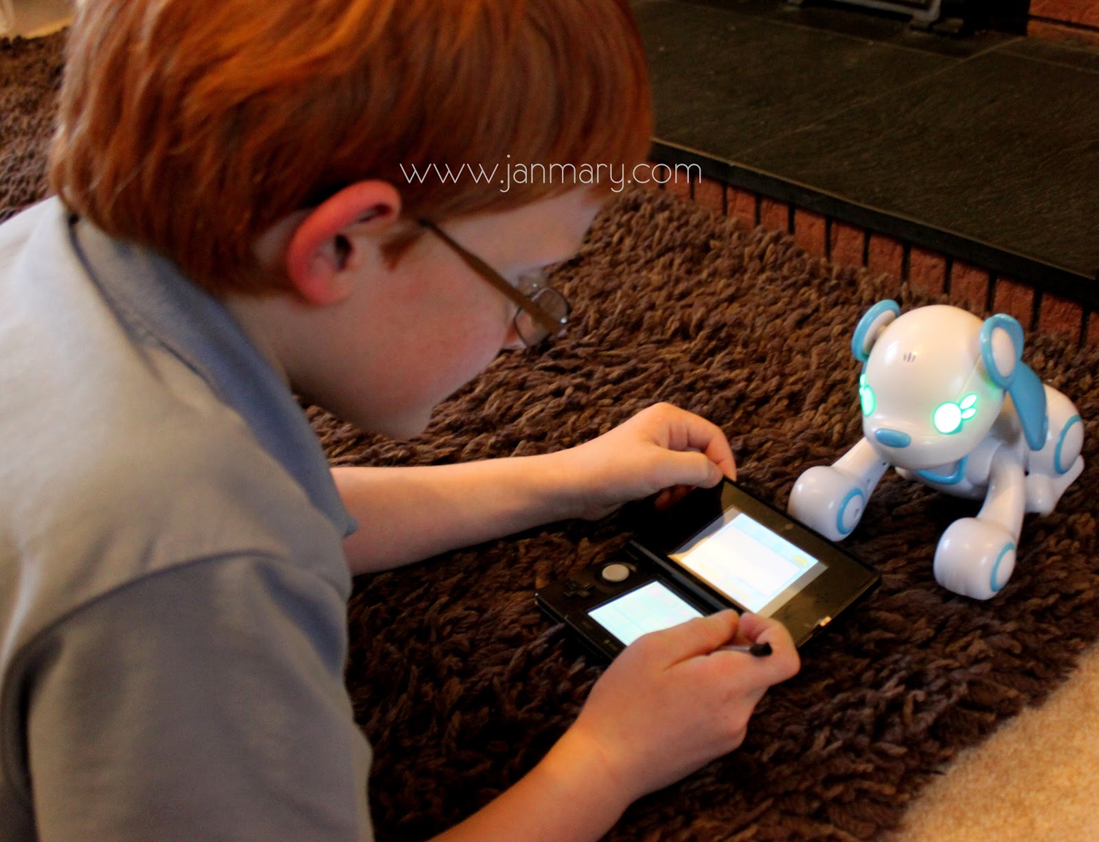Review of Wappy Dog and Game for Nintentendo DS