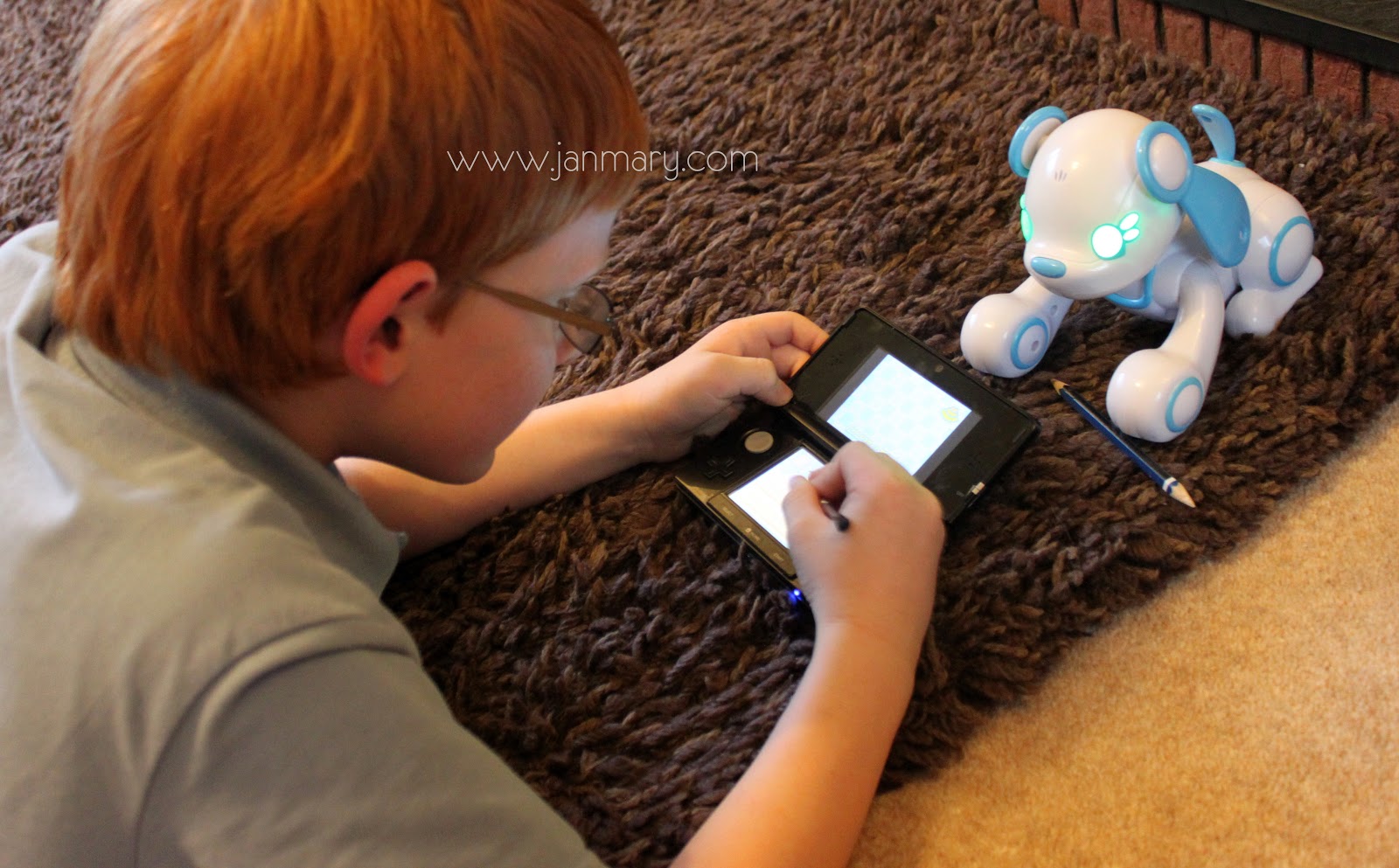 Review of Wappy Dog and Game for Nintentendo DS